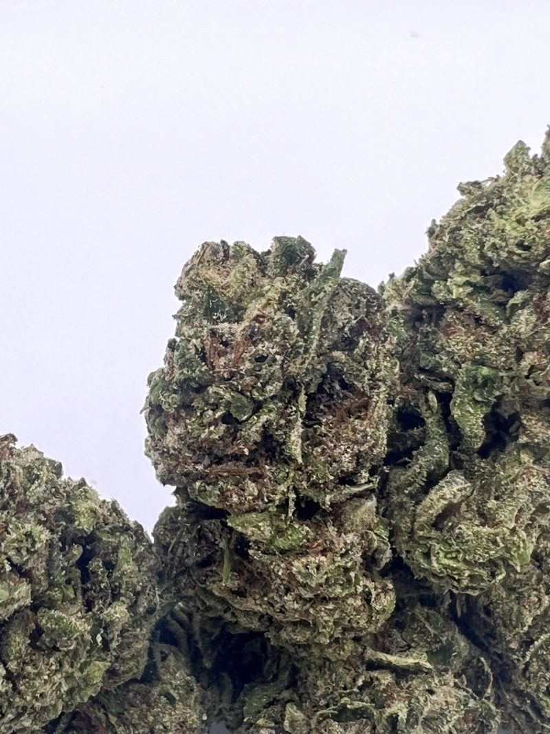 Black Runtz – Cali Express