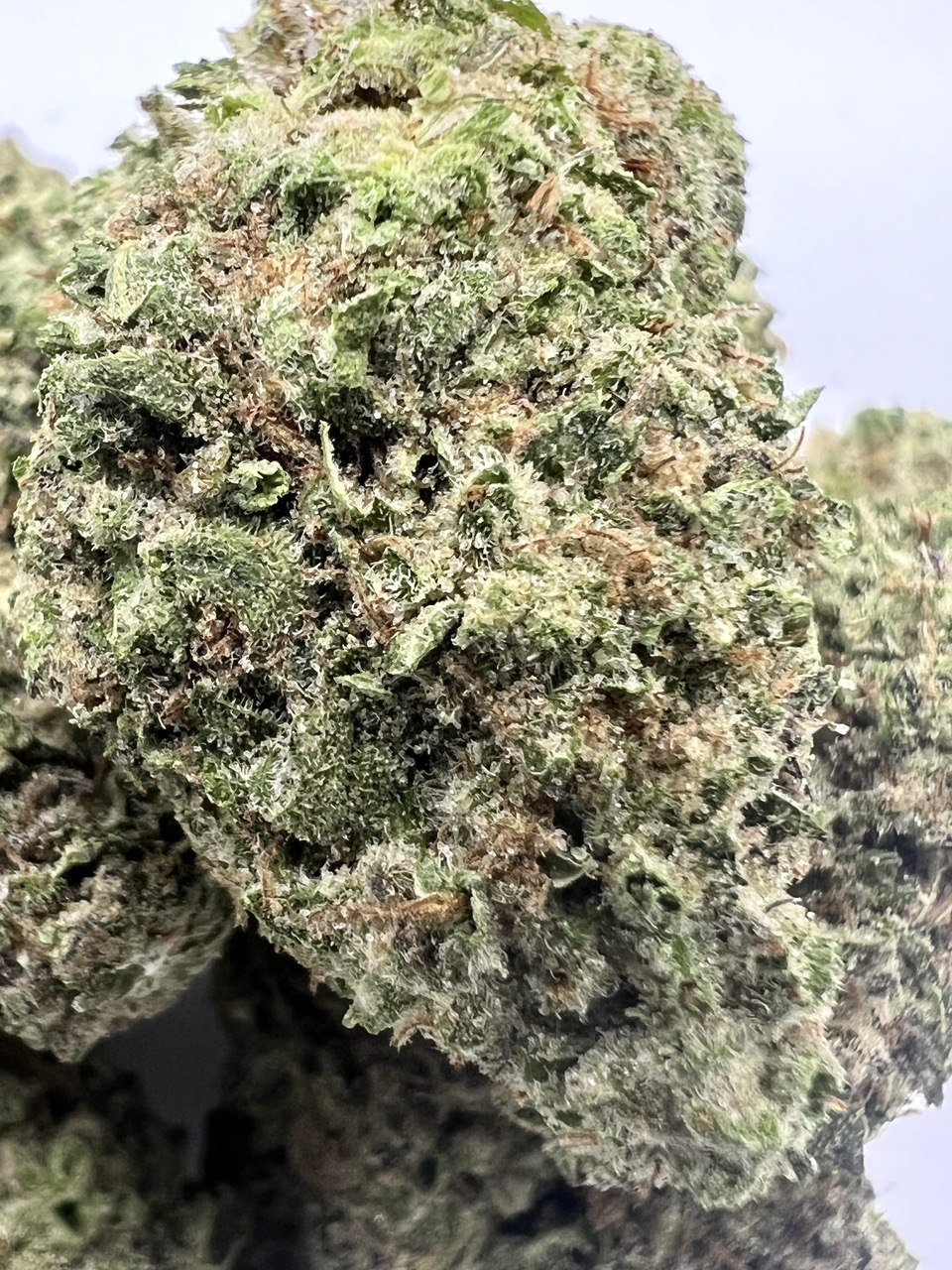 Panda Milk – Cali Express