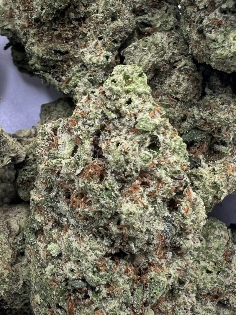 Zookies – Cali Express