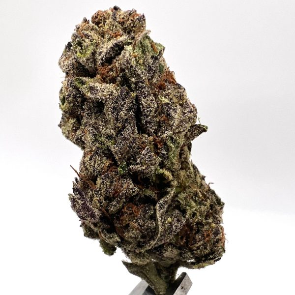 E85 – Cali Express